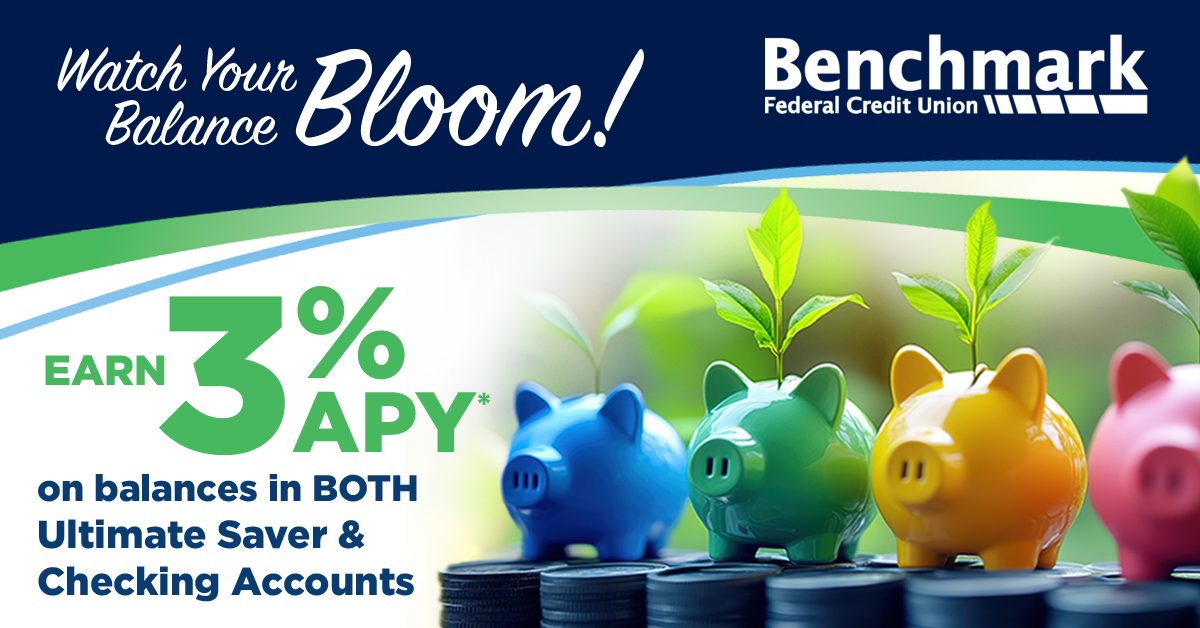 Ultimate Account Package | Benchmark FCU